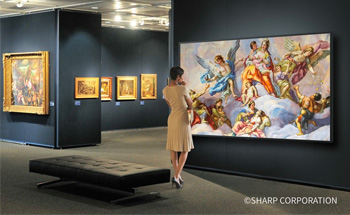 SID, the Society for Information Display > Home