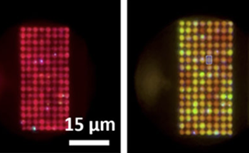 SID, the Society for Information Display > SID Home